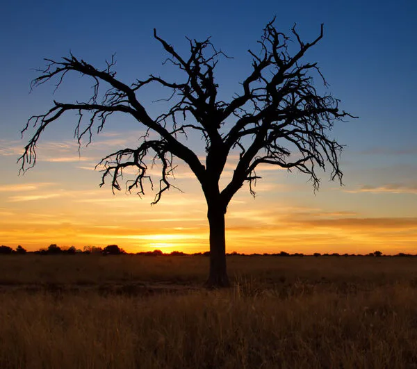 Musina Tourism - Musina Local Municipality