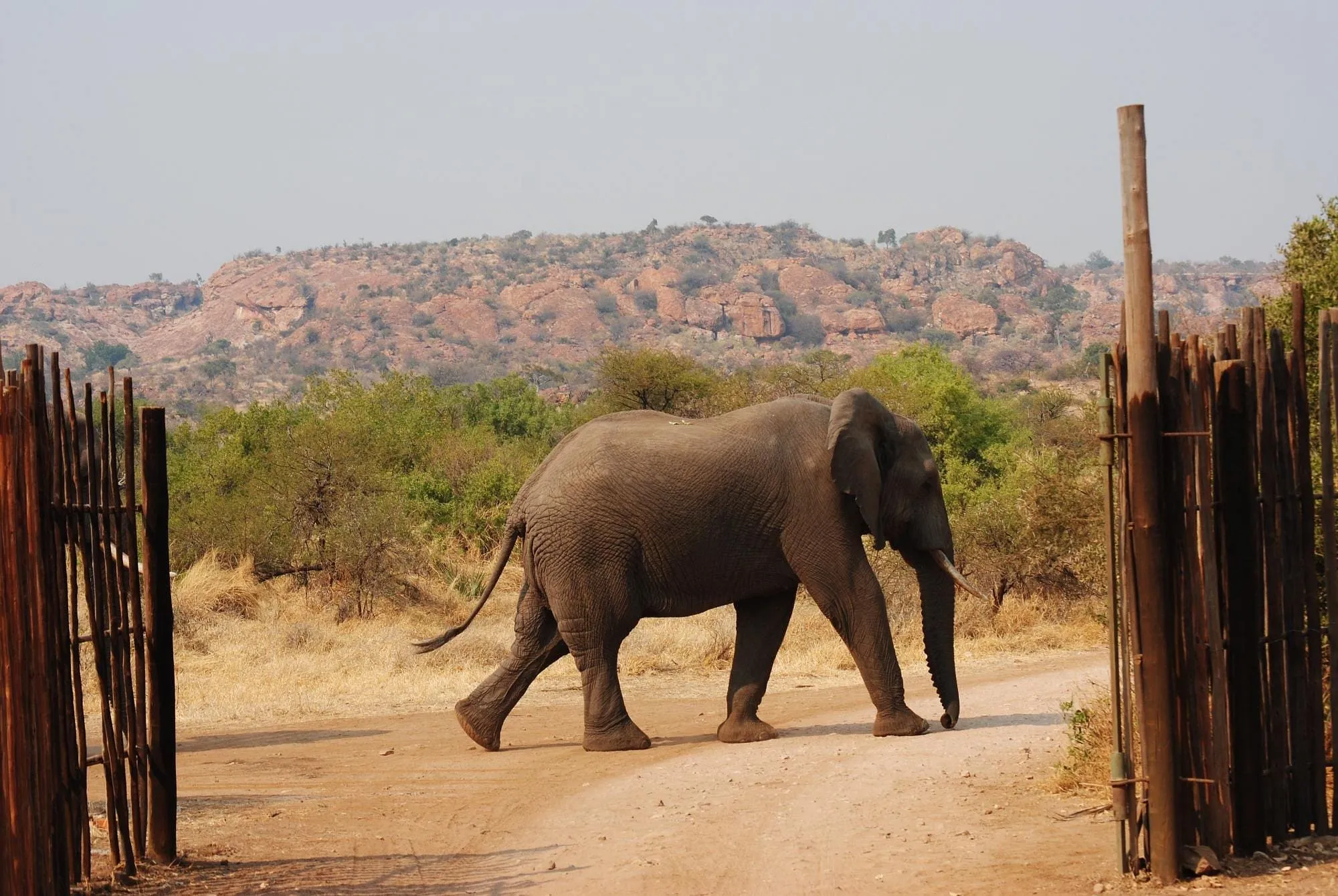 Musina Tourism - Musina Local Municipality